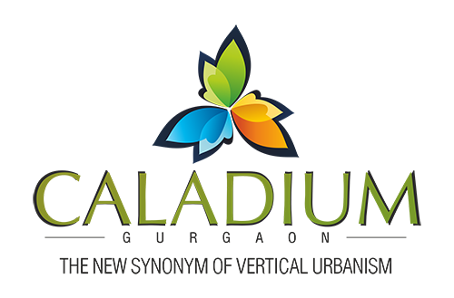 Caladium | 2,3 & 4 BHK Ready to Move Luxury Apartments in Gurugram